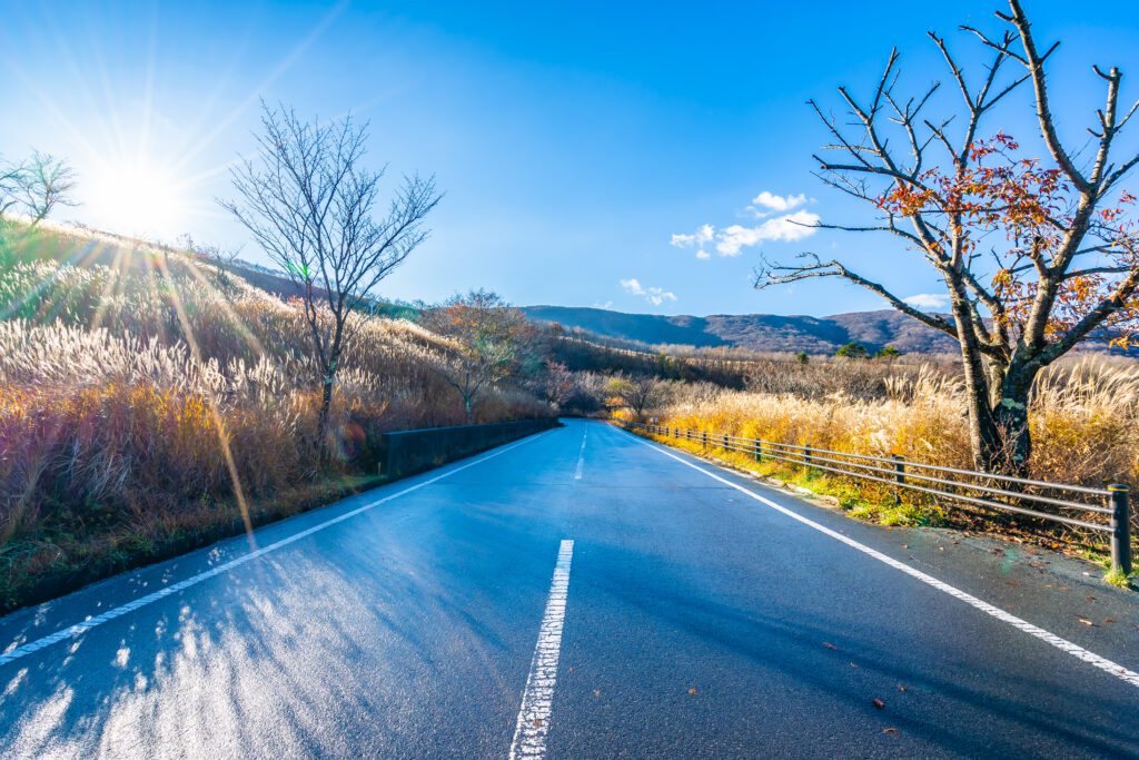 Road Tripping: Scenic Routes and Drives in Japan - Your Travel Scout